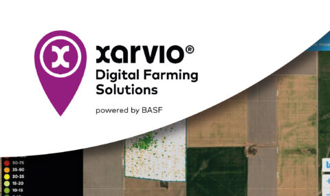 xarvio revoluciona el manejo de malezas y la siembra de maíz con sus ...